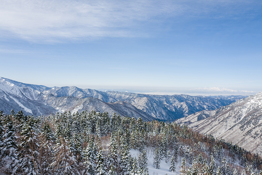 See beautiful Nagoya through photos by Anson Yip