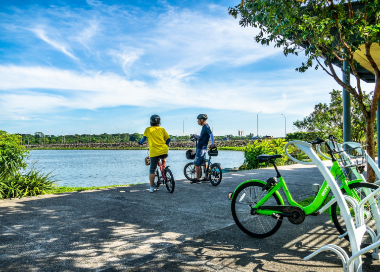 17 bicycle shops in Singapore for a smooth ride | Honeycombers