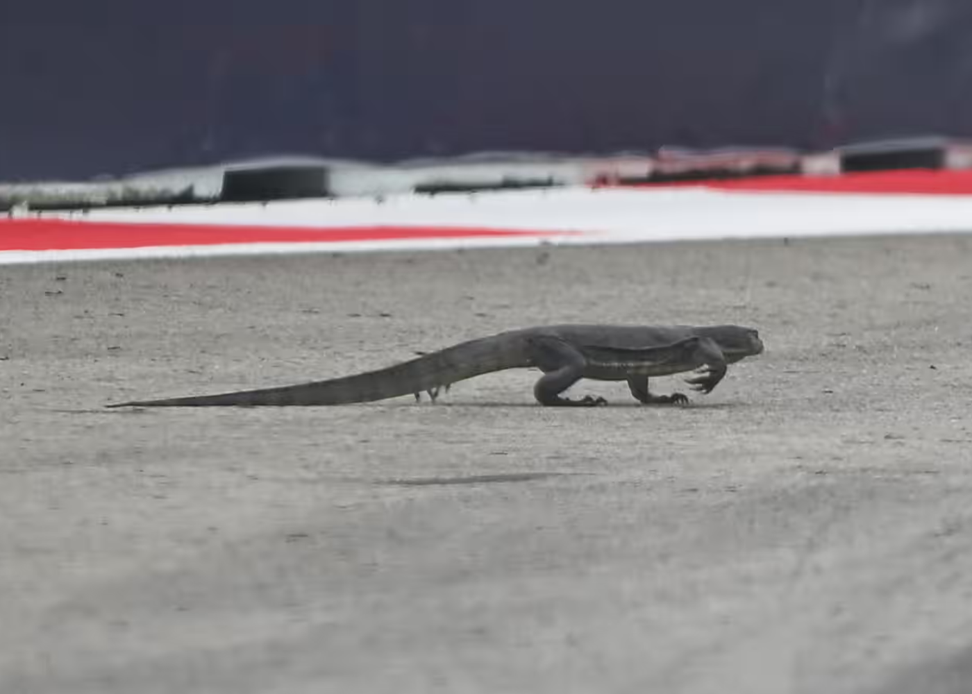 Singapore F1 news 2024: 14 exciting highlights | Honeycombers